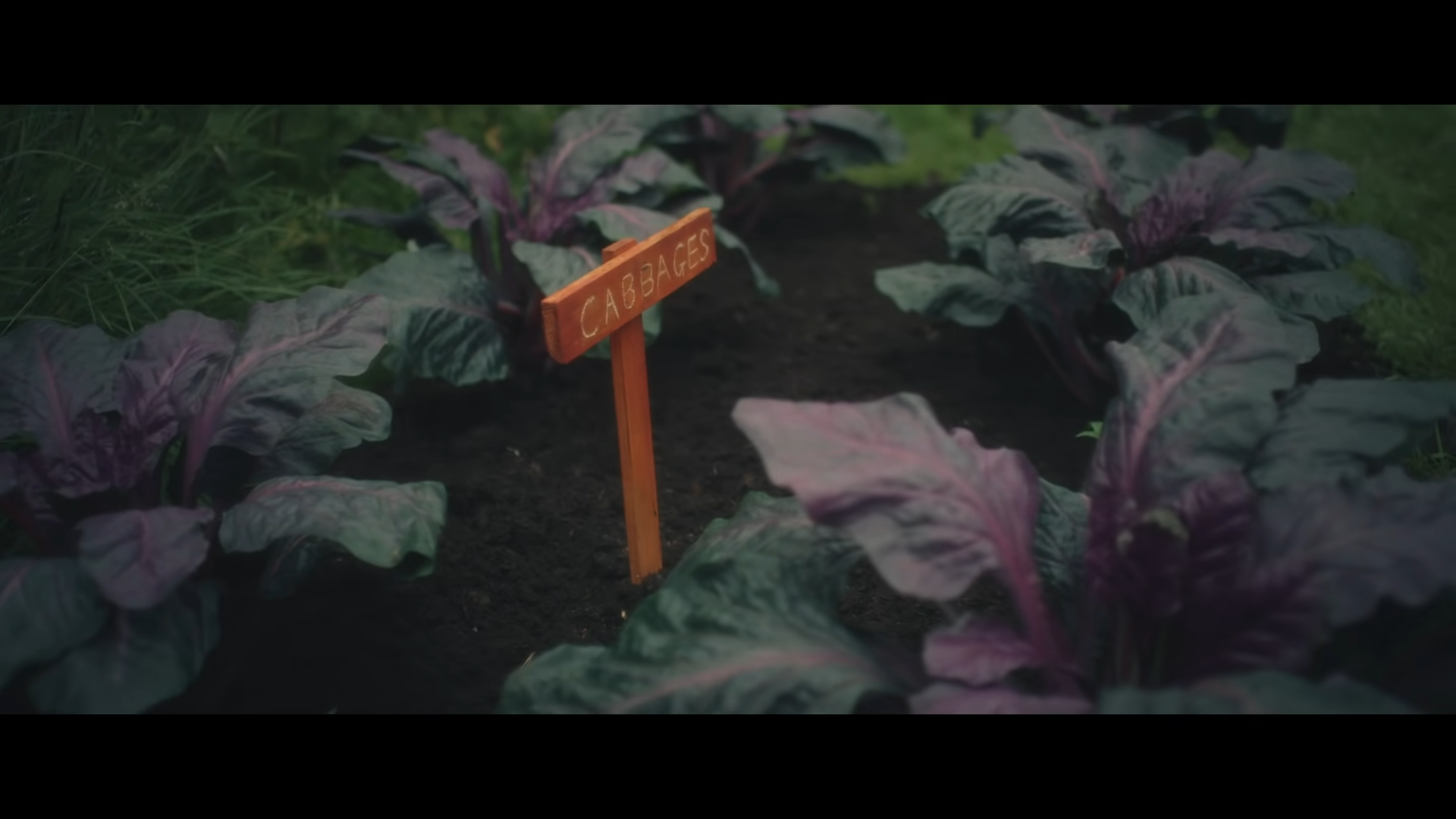 Childer Short Film Explained- A Chilling Look At Motherhood Gone Wrong ...